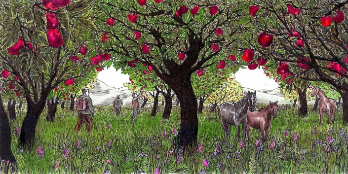 Fruit of the Heavenly Mountains - Apples and People