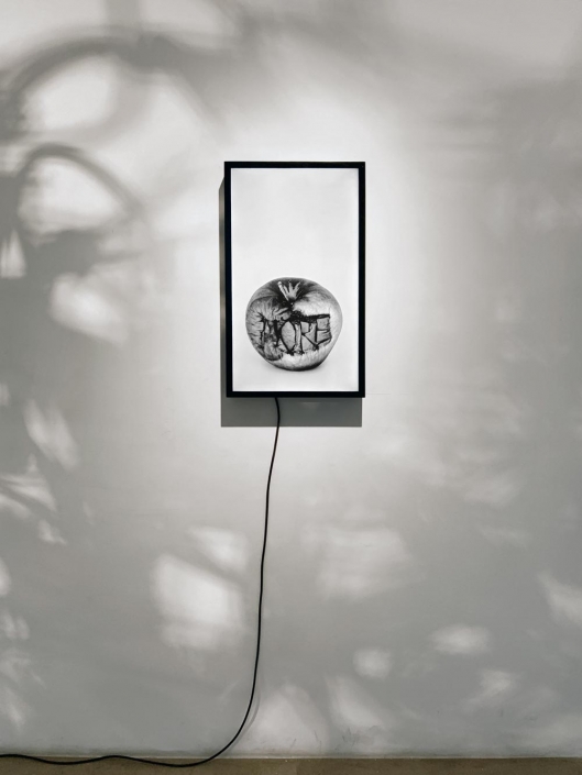 Barnaby Barford obsessed with the Apple - Apples and People