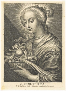 The Apple and the Rose - Apples and People