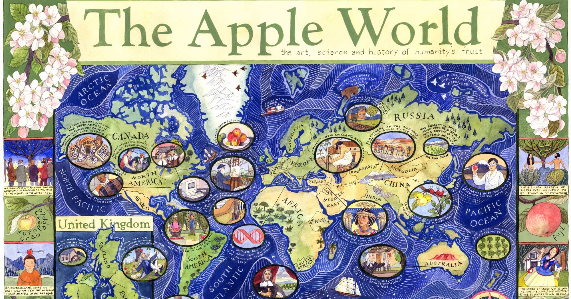 About the amazing global story of the apple - Apples and People