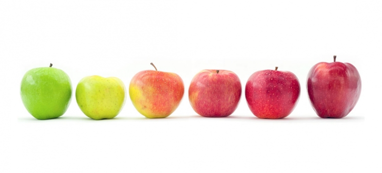 The Apple’s Code of Life - Apples and People