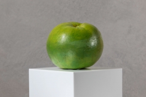 Bramley’s Seedling - Apples and People