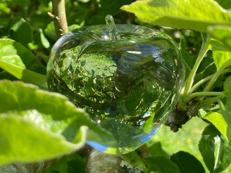 Avalon: The Isle of Apples - Apples and People