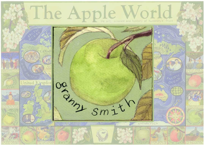 Apple Records’ Granny Smith label - Apples and People