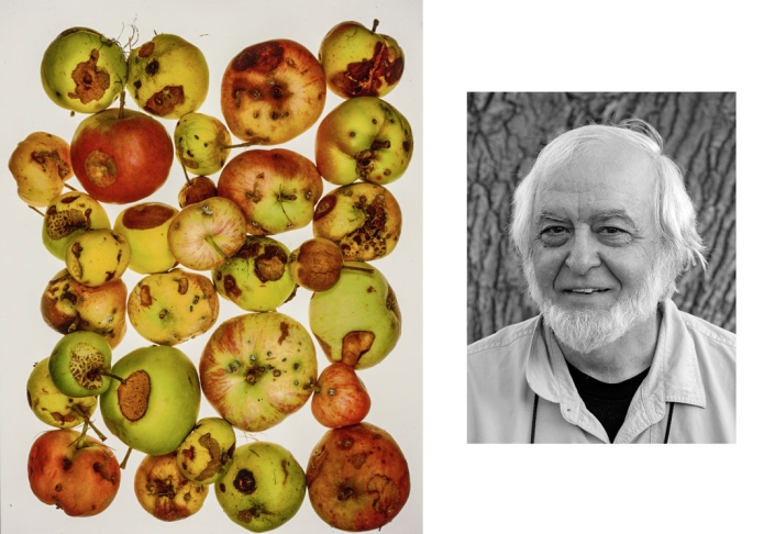 Apples and People - The astonishing global story of the apple